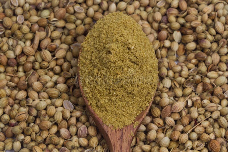 Indian seeds stock image. Image of health, herb, healthy - 125805625