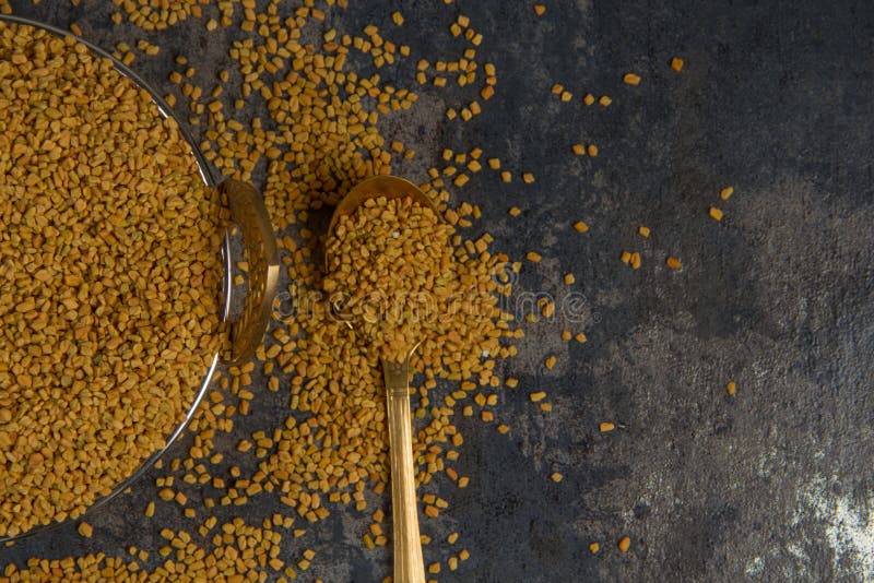 Indian seeds stock photo. Image of curry, cuisinesun - 130478700