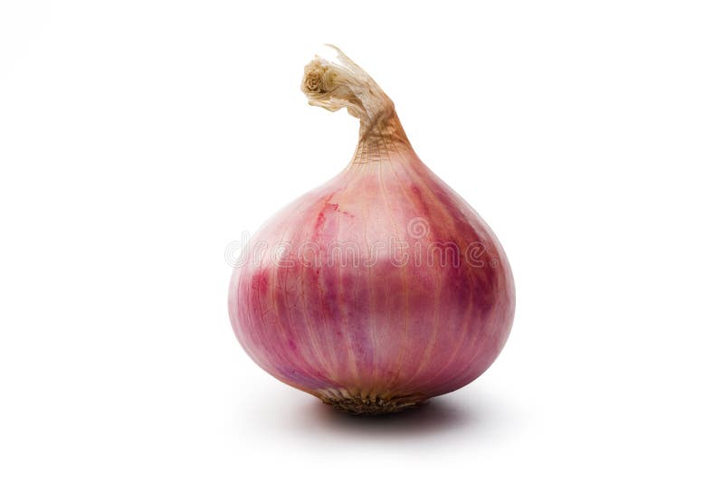 Indian Shallots Isolated on White. Stock Image - Image of depth ...