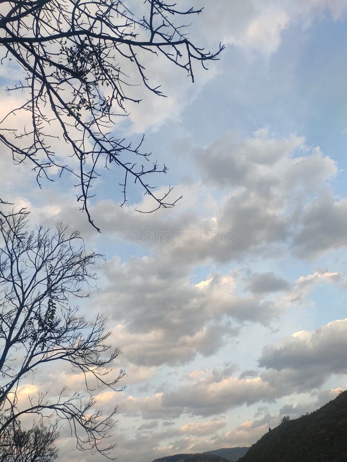 Indian Sky Image with Clouds Stock Photo - Image of tree, nature: 172623568