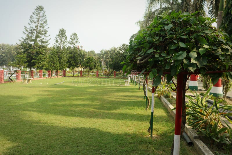 A Indian Small Park with Green Grass and Tree. Stock Image - Image of ...