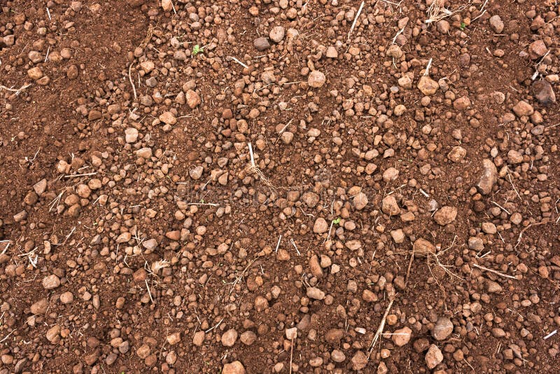 Indian Red Soil-V stock photo. Image of soil, monsoon - 3285860