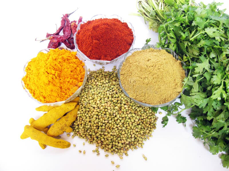 Indian Spices stock image. Image of powder, coriander - 13742473