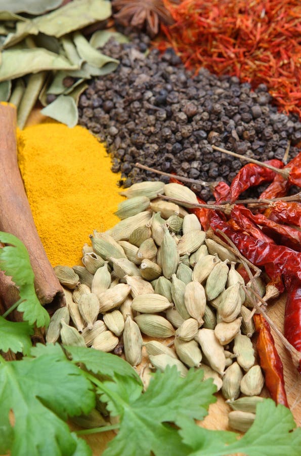 Indian Spices stock image. Image of colour, cookery, food - 8230681