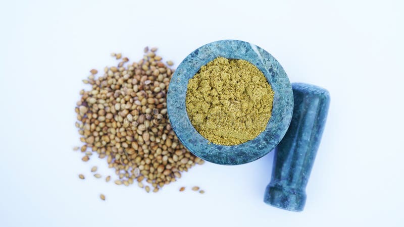 Indian Spices, Coriander Powder or Dhaniya Powder with Coriander Seeds ...