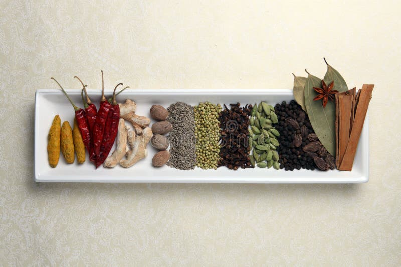 Indian Spices in a Long Platter Stock Photo - Image of food, turmeric ...