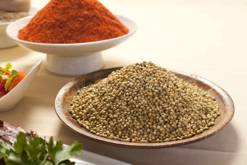 Indian spices on a plate stock image. Image of curcuma - 31808665