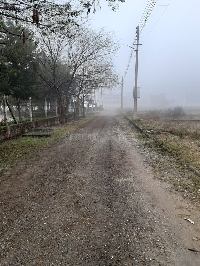 Indian Street with Fog and Some Trees Stock Photo - Image of street ...