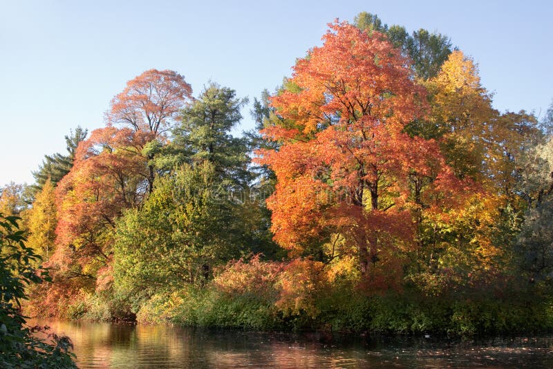 Indian summer 2 stock photo. Image of bright, leaves, gaudy - 3266172