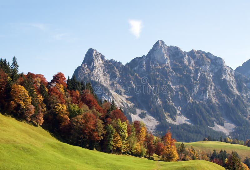 Indian summer in alps stock photo. Image of nature, green - 6711396