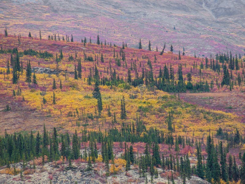 Indian summer stock image. Image of boulder, plants, october - 33670185