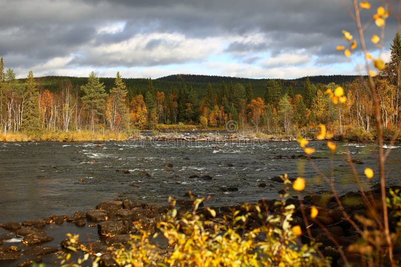 Indian Summer at Pite River at Ljusselforsen in Lapland Stock Photo ...