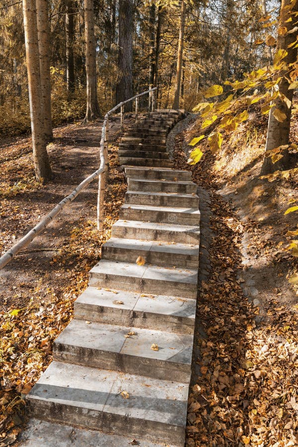 During the Indian Summer Steps of the Ladder and Fallen Leaves Stock ...