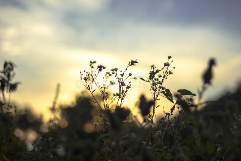 Indian summer stock photo. Image of sunlight, mountains - 79204782