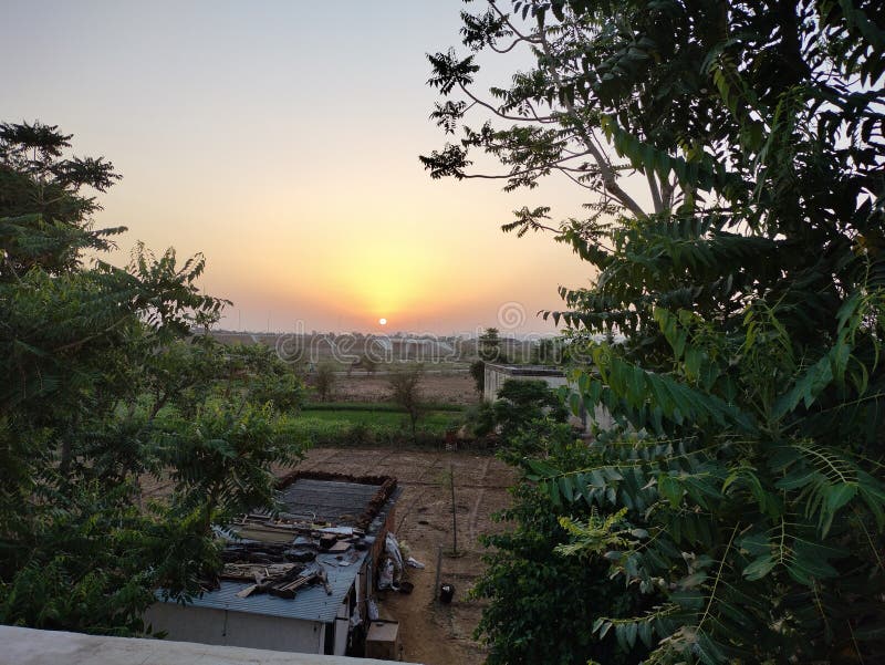 Indian sunset stock photo. Image of garden, forest, leaf - 220519522