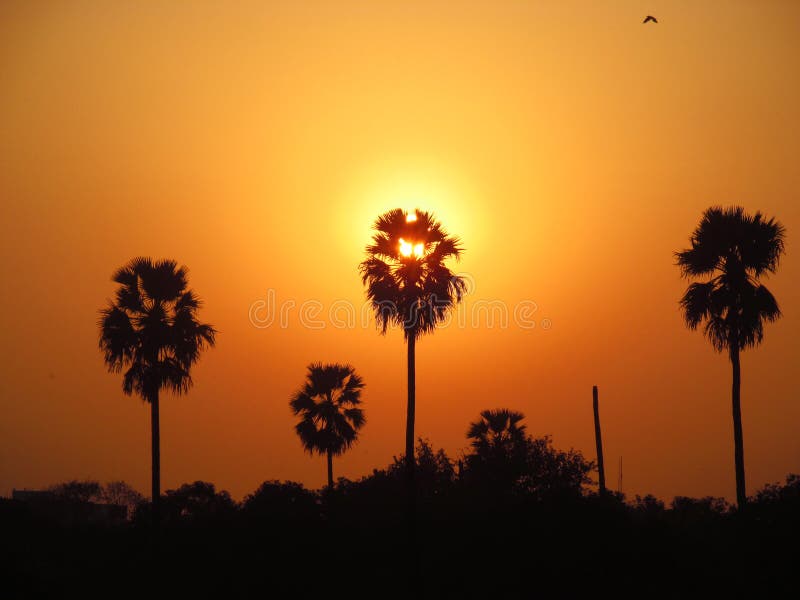Indian sunset stock image. Image of beauty, brown, indian - 74538105