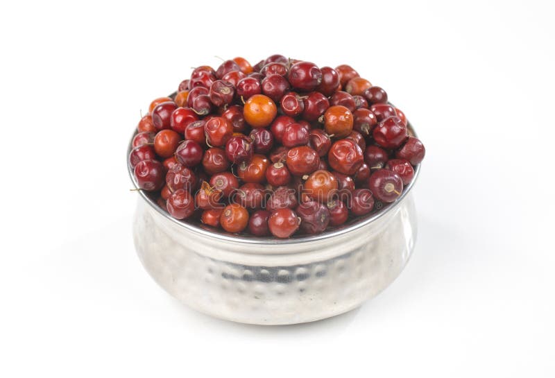 Red Berry stock image. Image of berries, orange, countryside - 153137885