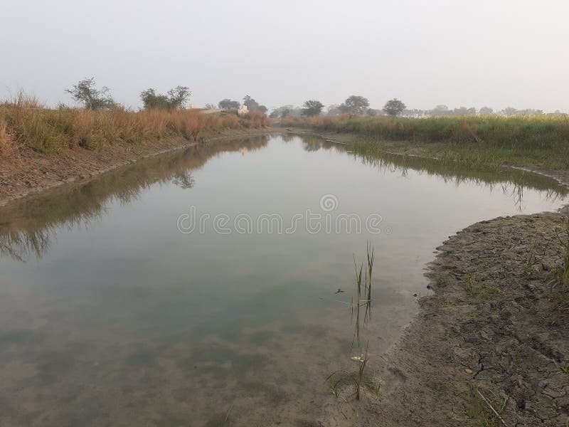 Indian Swimming Pool. Holiday Destination. Stock Image - Image of ...