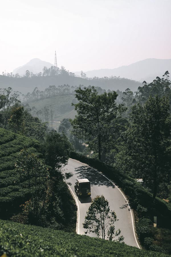Indian tea plantation road stock image. Image of plantation - 283585923