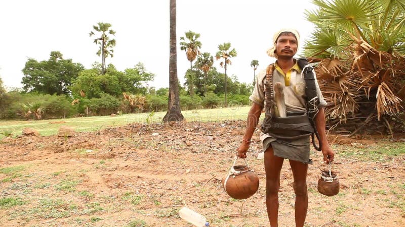 Indian Tribe Stock Footage & Videos - 669 Stock Videos