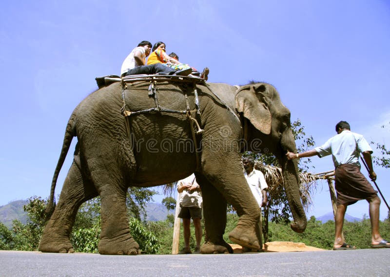 Indian Tourist Family Taking a Elephant Ride Editorial Stock Photo ...