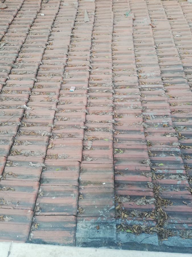 Indian Traditional Style Ceramic Roof Tiles Stock Photo - Image of ...