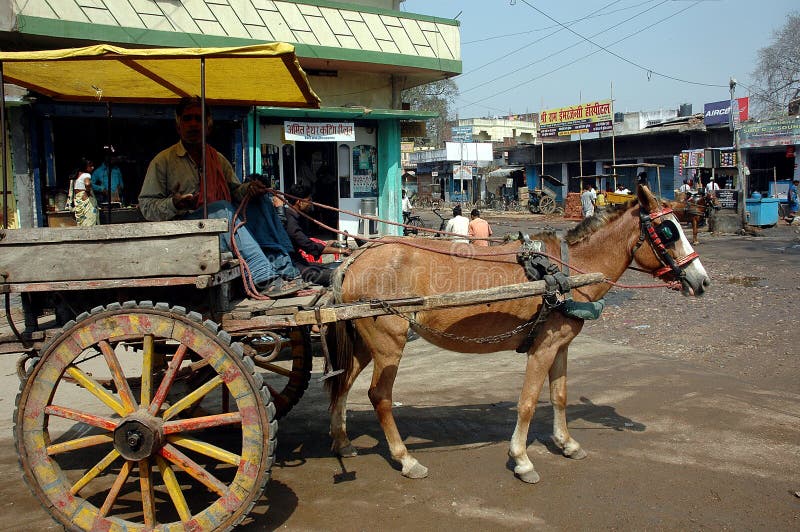 Indian Transportation of Goods To the Market Editorial Stock Photo ...