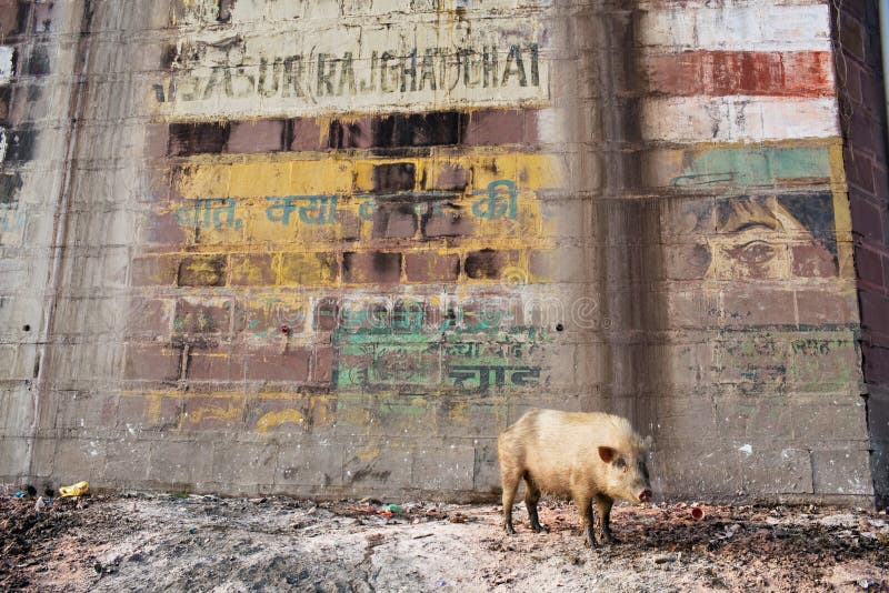 Indian trash stock image. Image of ornament, background - 30343407