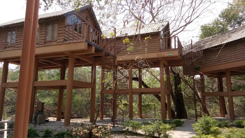 Indian Tree House for Staying Stock Photo - Image of staying, tree ...