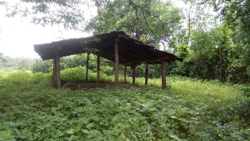 Indian Trible People Open Hut Stock Image - Image of open, production ...