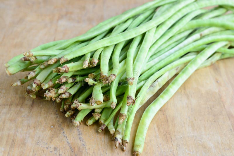 Indian Vegetable-bottle Gourd Stock Image - Image of diet, edibles ...