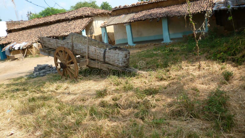Indian Village Buffalo Cart Stock Photo - Image of grass, village ...