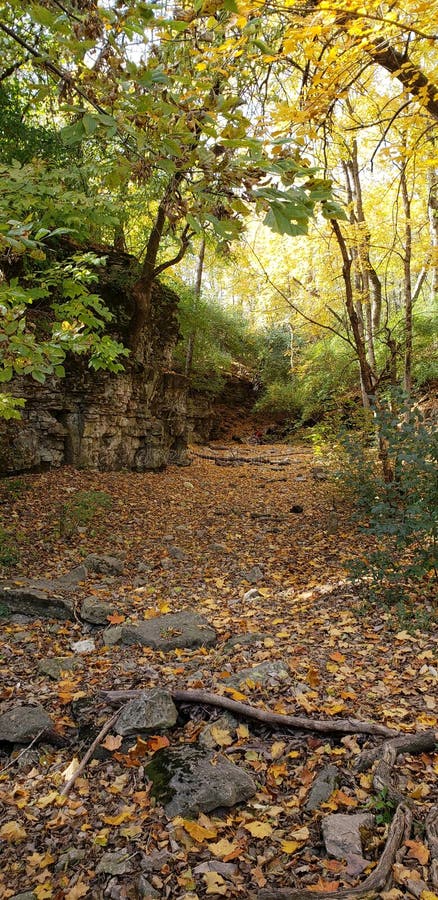 View of Indian Village Canyon in Fall, Columbus, Ohio Stock Image ...