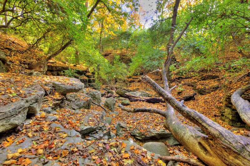 Indian Village Canyon in Fall, Columbus, Ohio Stock Photo - Image of ...