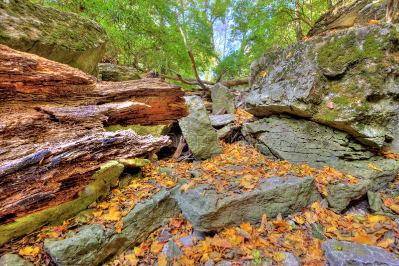 Indian Village Canyon in Fall, Columbus, Ohio Stock Image - Image of ...