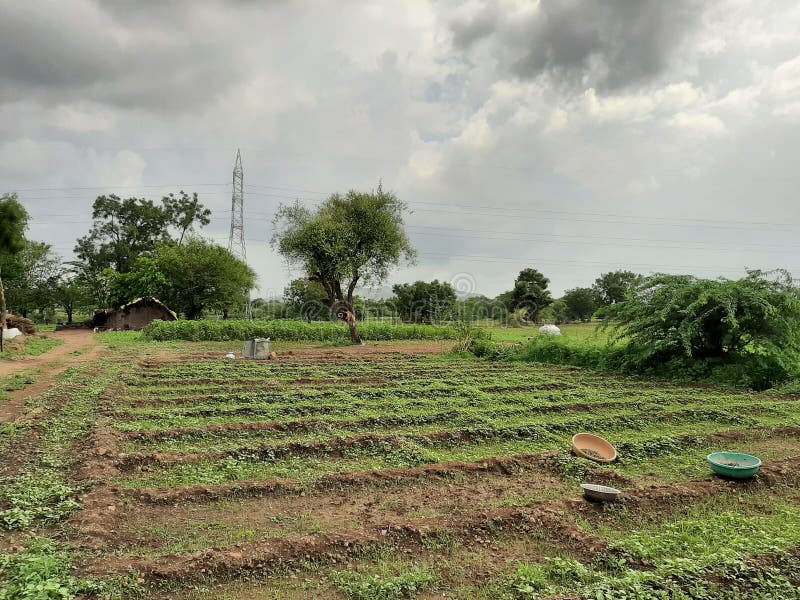 Indian village farm stock image. Image of hill, tree - 188709227