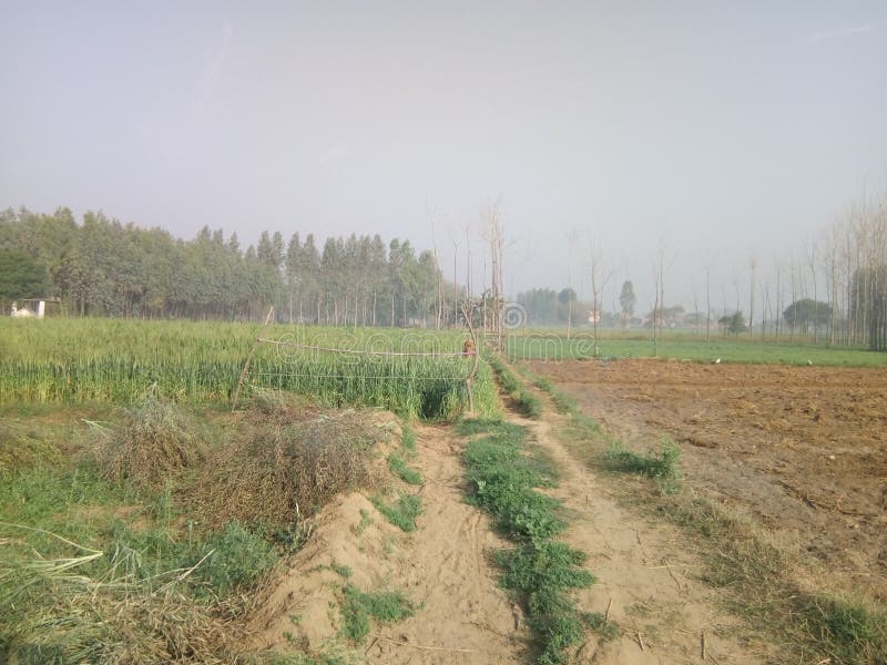 Indian village stock image. Image of village, indian - 119810575