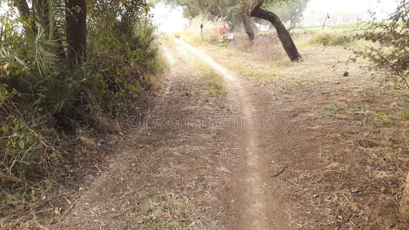 Indian Village Forest Road Beautiful Road Forest Road Nature Road Stock ...