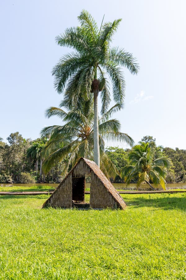 Indian Village Guam. Palm Tree and Palm Leaf Hut Stock Photo - Image of ...