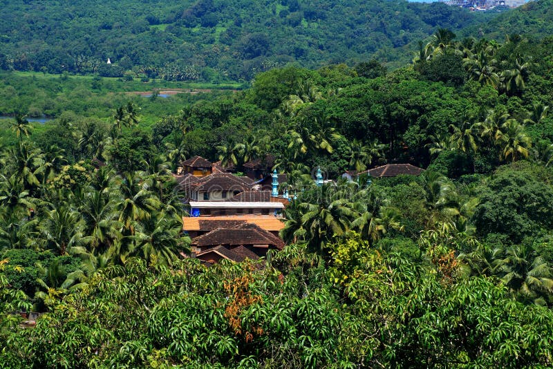 Indian village in jungle stock photo. Image of leaves - 3286158