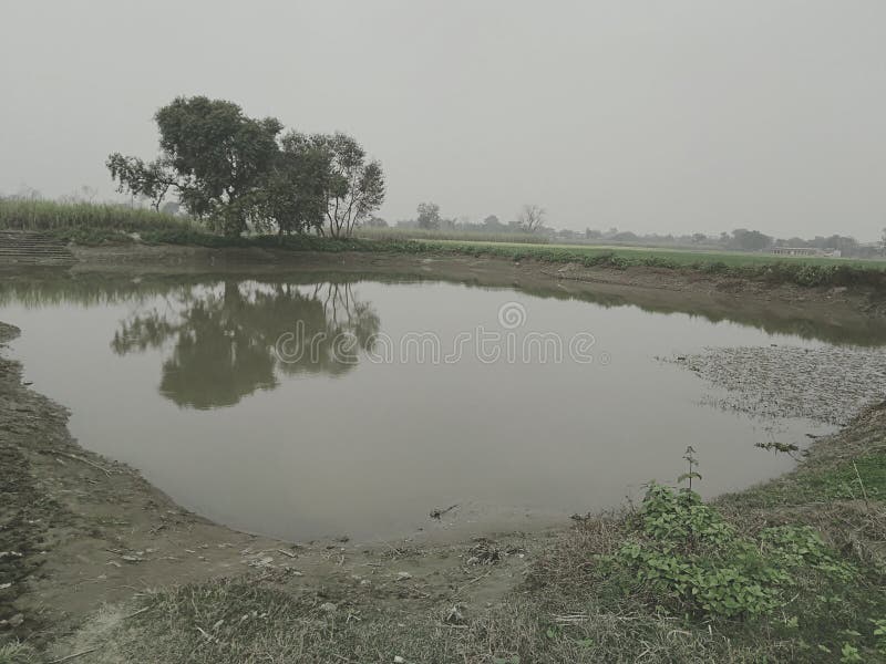 A pond in Indian village stock image. Image of sightseeing - 148380261