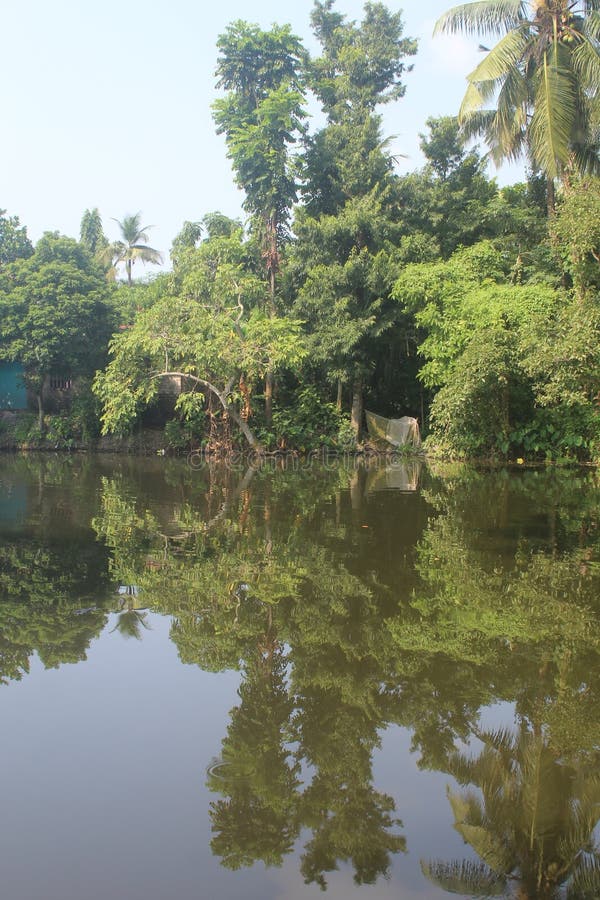Indian Village Pond and Trees Stock Image - Image of wetland, woodland ...