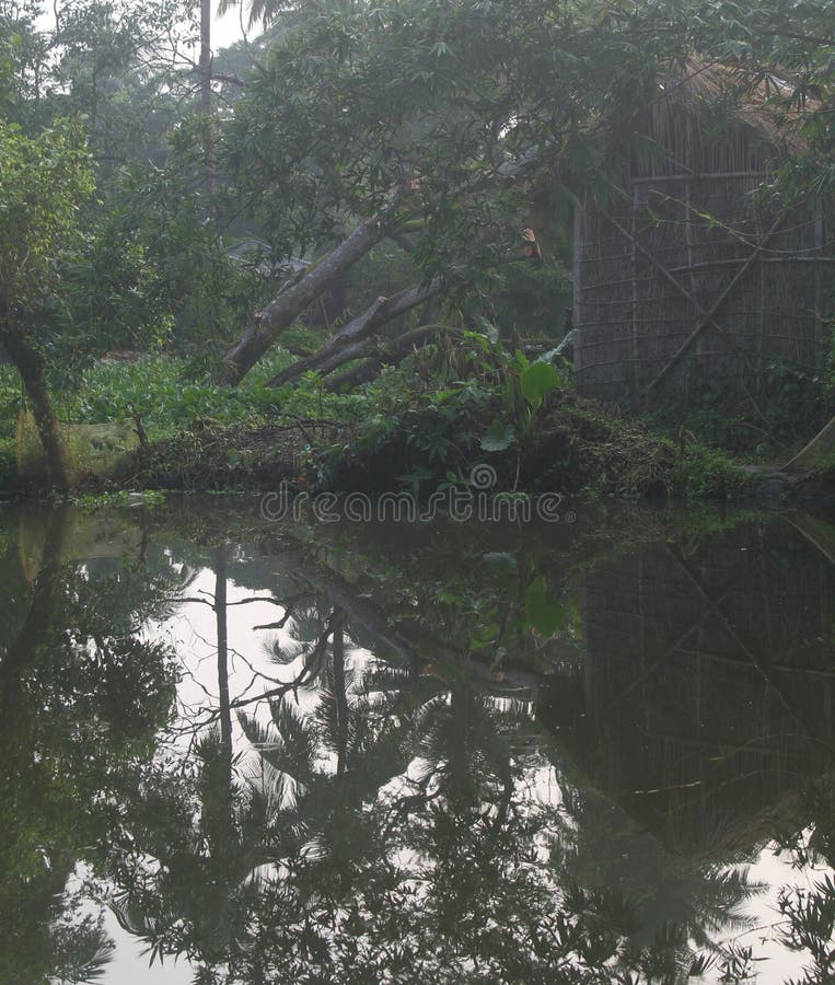Indian Village Pond and Trees Stock Photo - Image of bayou, pond: 271254348