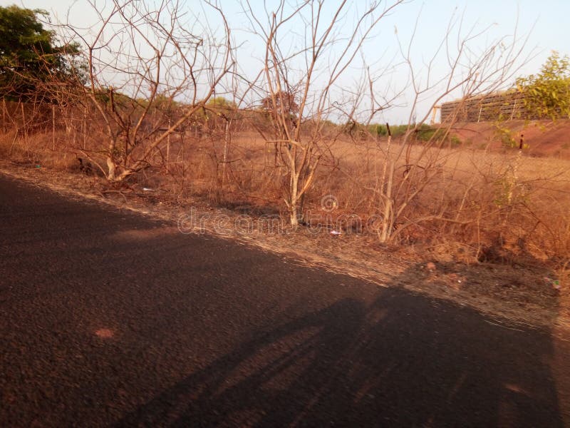 Indian Village Road Nice View Stock Photo - Image of plants, grass ...