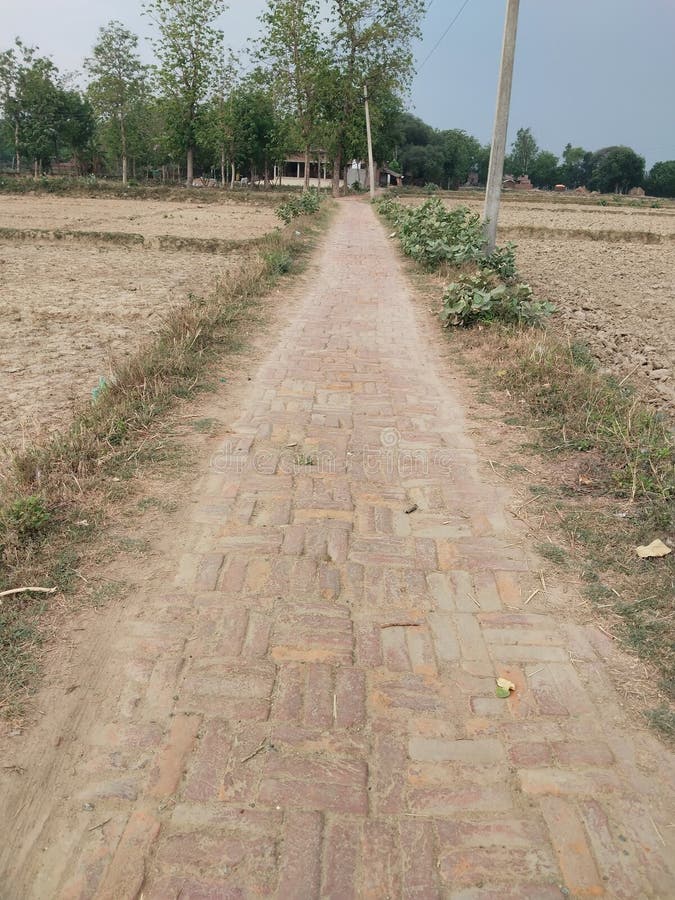 Indian Village Road. Old Red Rectangle Brick Path or Trail or Sidewalk ...