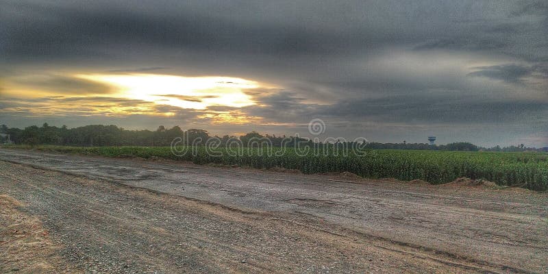 Indian village road side stock image. Image of pond - 152479243