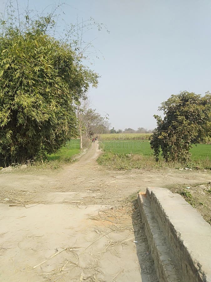 Indian Village Road Sites Tree and Land Stock Image - Image of land ...