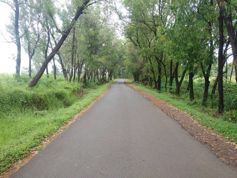 7,902 Indian Village Road Photos - Free & Royalty-Free Stock Photos ...