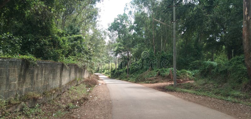 Indian village road stock photo. Image of lane, asphalt - 257116606