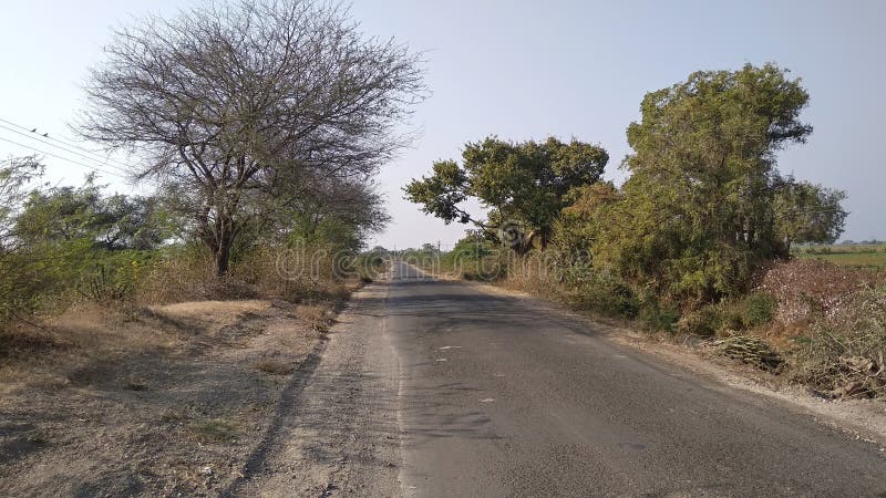 Indian village road way stock photo. Image of village - 173680202